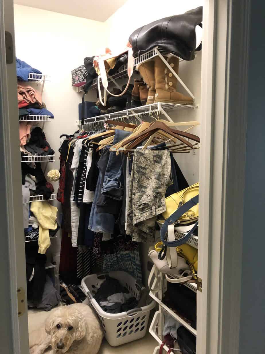 The Great Closet Cleanout - two dandelions